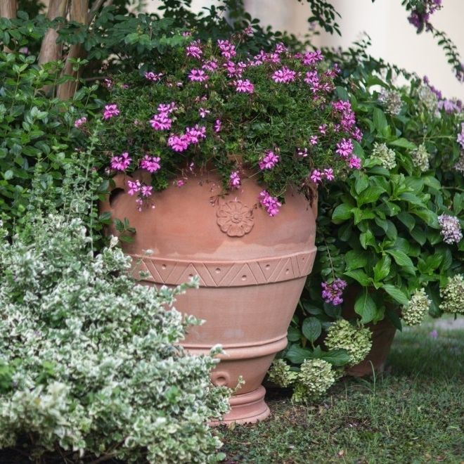 Terracotta flower pot - con Rosetta Impruneta - cestenoli srl - round ...