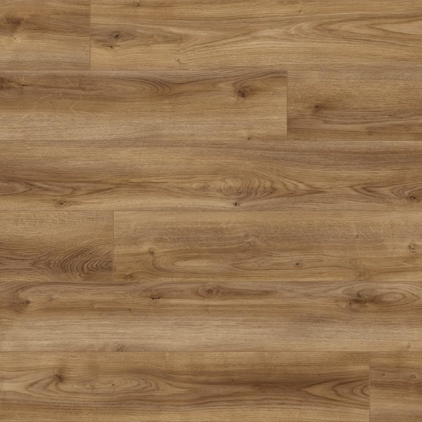 Oak laminate flooring - CORDOBA NOBLE - lesna - HDF / floating / wood ...