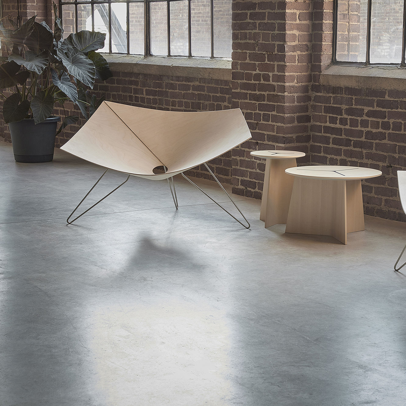 Contemporary lounge chair - PATKAU TWIST - Nienkamper - plywood / metal ...