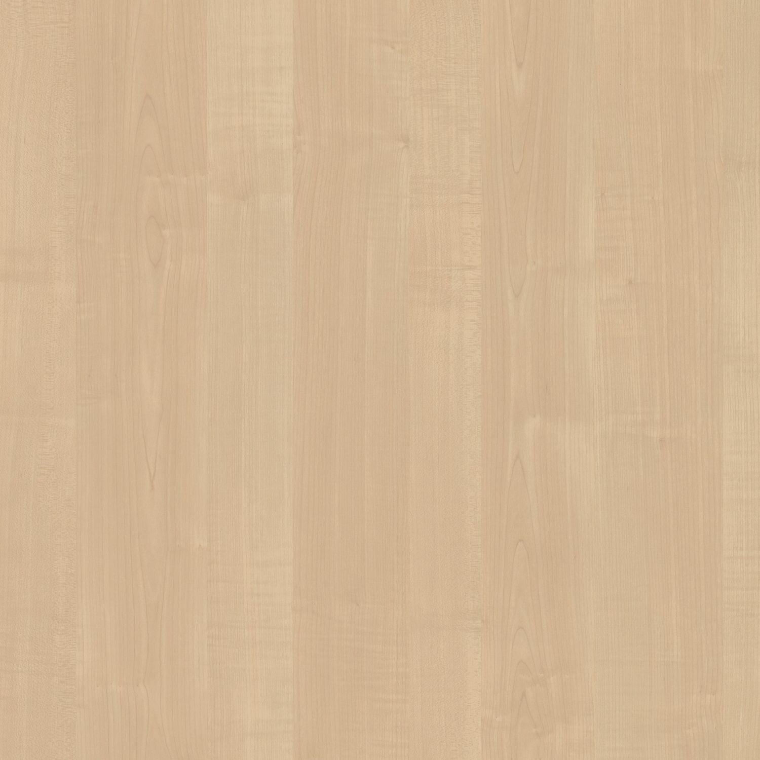 Wood look decorative laminate - ÉRABLE NORDIQUE - Polyrey - smooth ...