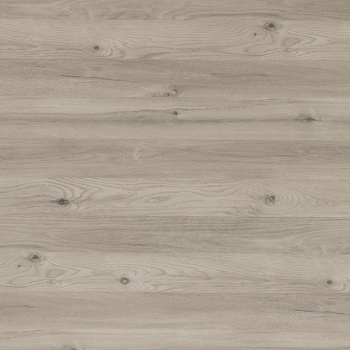 Wood look decorative laminate - CHÊNE D'ARGENT - Polyrey - smooth ...