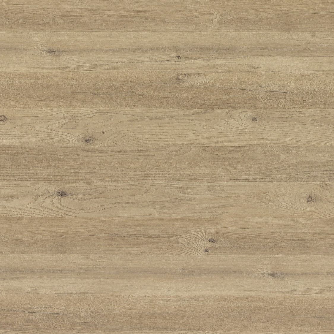 Wood look decorative laminate - CHÊNE DES MASSIFS - Polyrey - brushed ...