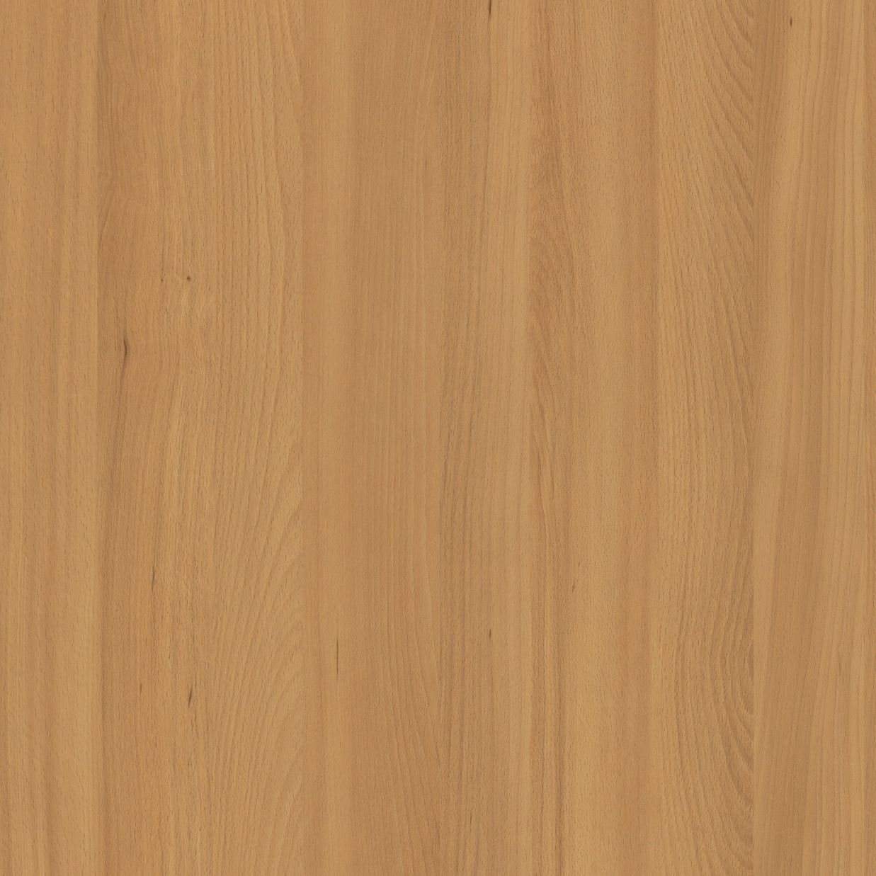 Wood look decorative laminate - HÊTRE STOCKHOLM - Polyrey - smooth ...