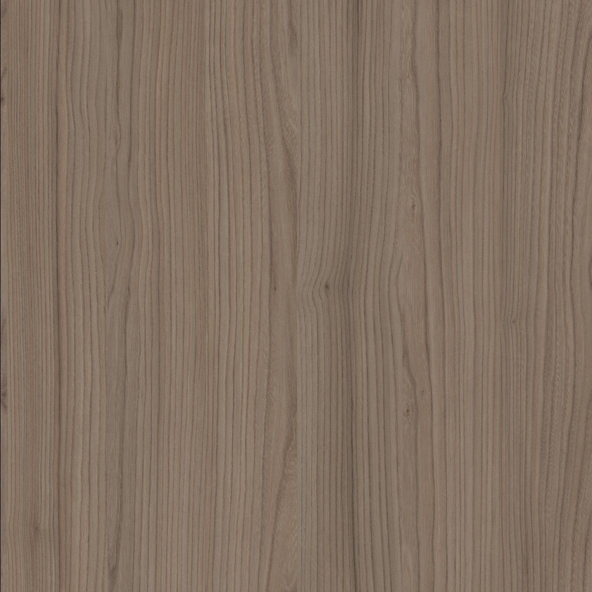 Wood look decorative laminate - ORME D'AUTREFOIS - Polyrey - smooth ...