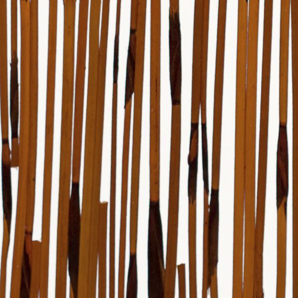 Interior decorative panel - TORTOISE REED - Lumicor - resin / smooth ...