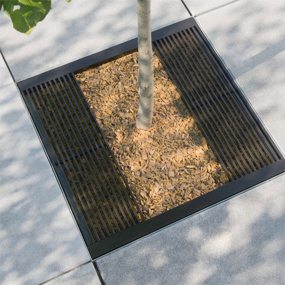 Square tree grate - CAMBRIDGE - AREA - steel