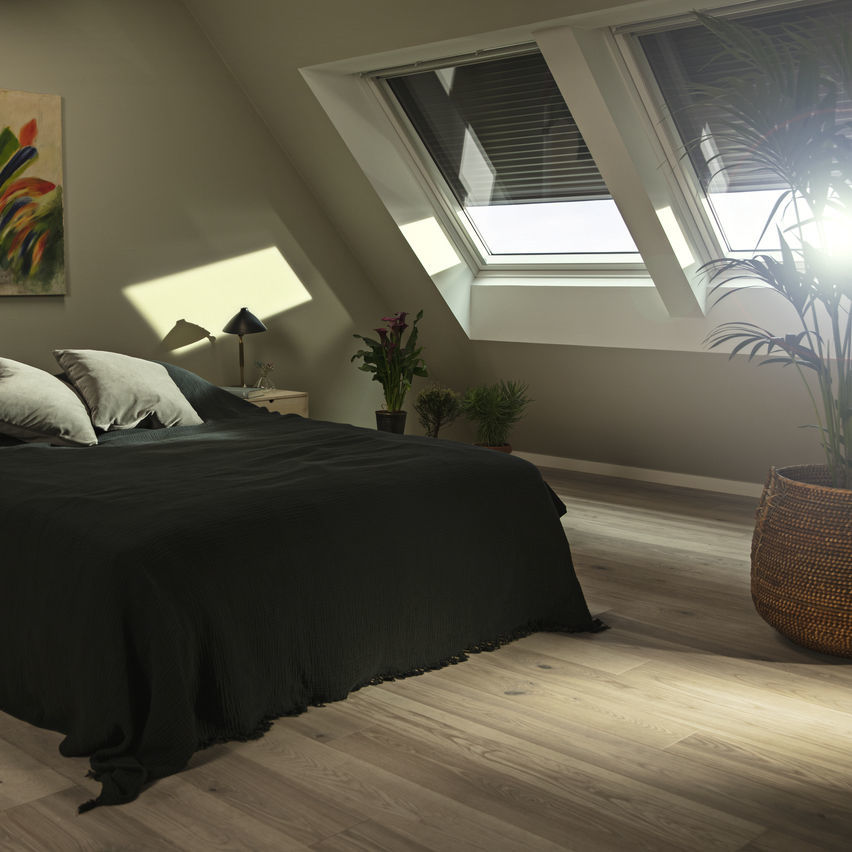 Roller shutter - VELUX - louvre / aluminum / lacquered aluminum