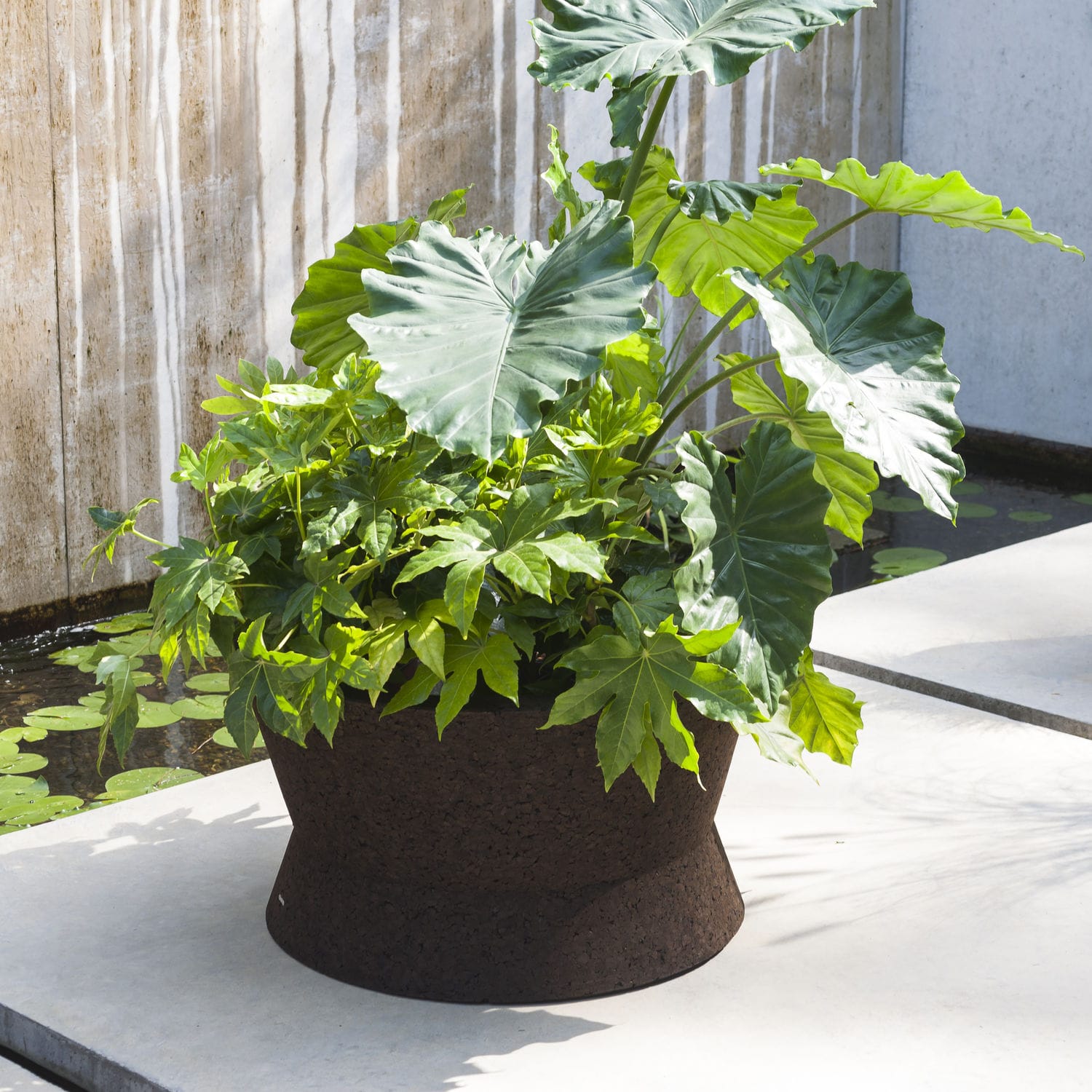 Cork plant pot - BUSH ON 001 - RODA - floor-standing / home
