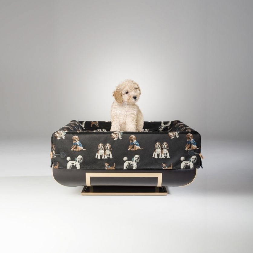 Leather dog basket - ADONE - Mantellassi 1926 - fabric / brass