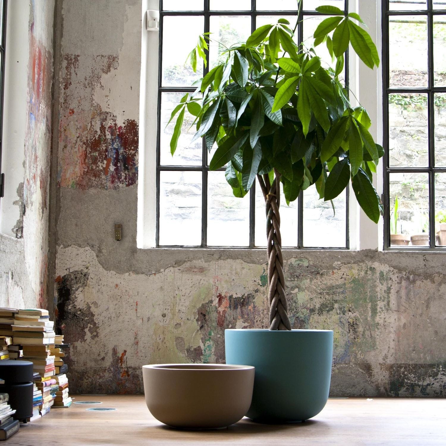 Low-density polyethylene (LDPE) plant pot - CUP BIG - SERRALUNGA ...