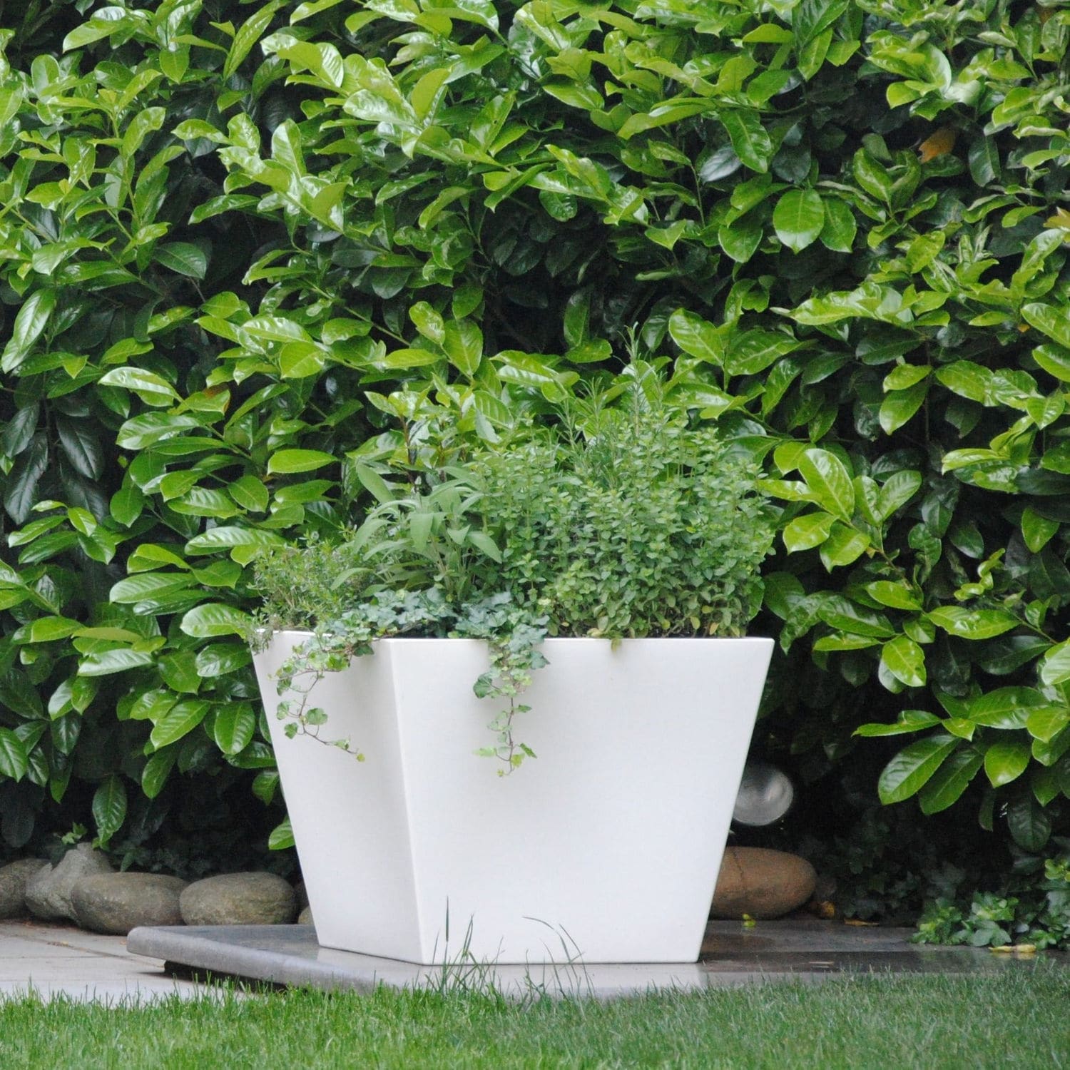 Low-density polyethylene (LDPE) plant pot - KABIN - SERRALUNGA - by Luisa Bocchietto / home / white