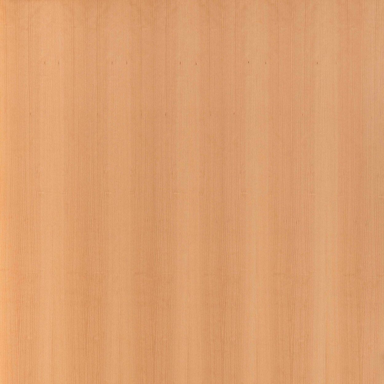 Cover panel - BEECH - PARKLEX International - wall / for ceiling ...