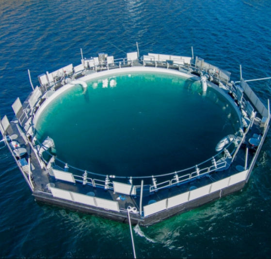 Composite geomembrane - BIOBRANE AQUA 2050 - Serge Ferrari ARCHITECTURE ...