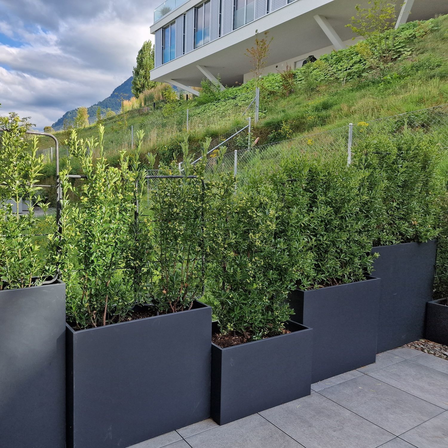 Sheet metal flower box - DRIGANI SRL - rectangular / with wheels ...