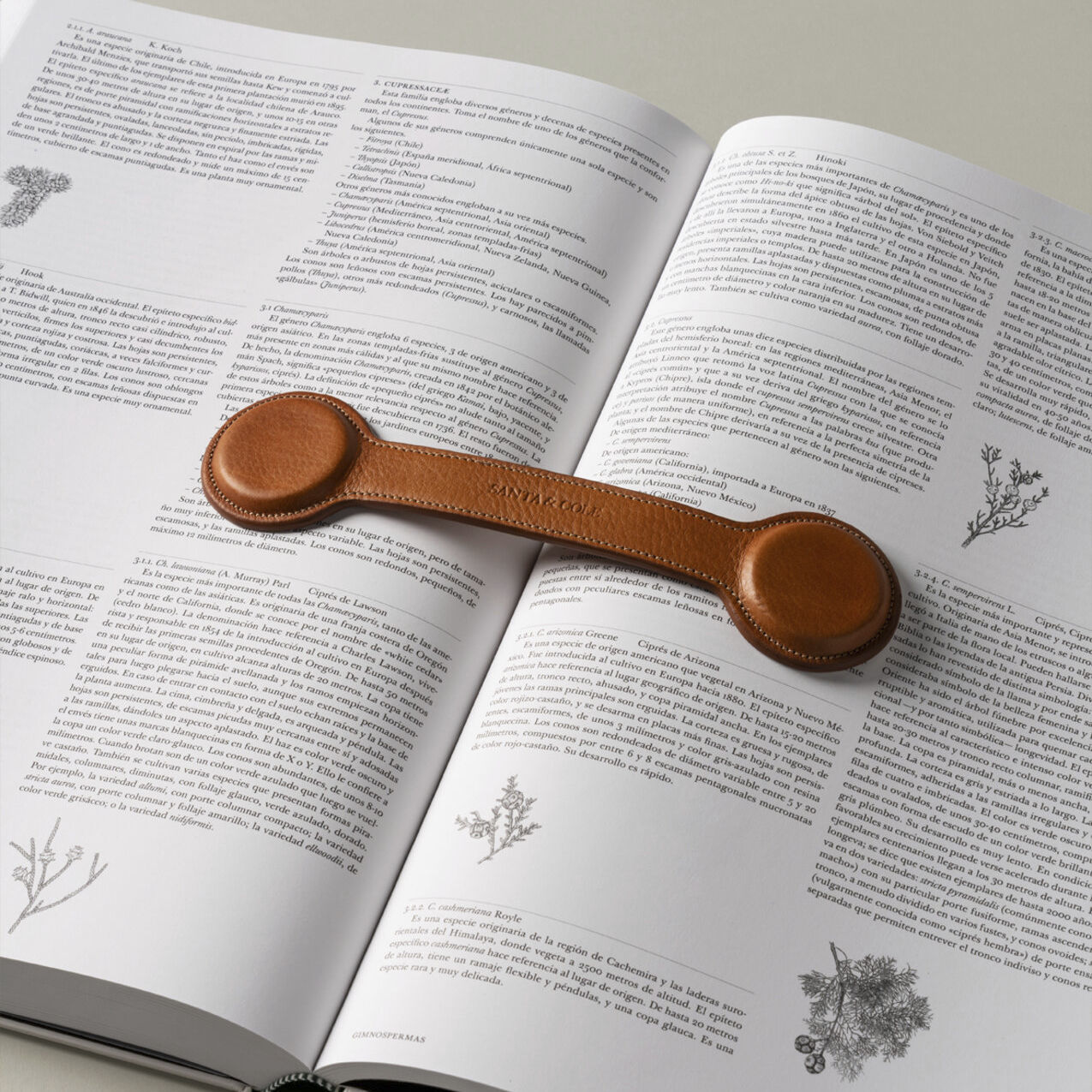Leather paperweight - Escribano - Santa & Cole