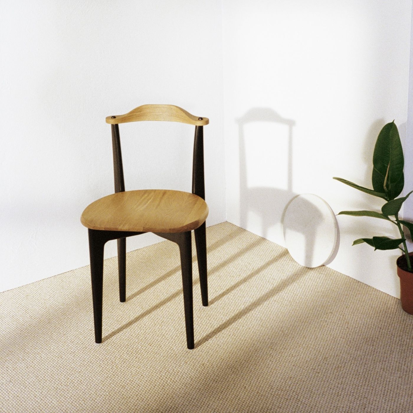 Scandinavian design chair - THEMA - Swedese Möbler - indoor / oak / walnut
