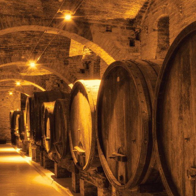 LED cable lighting - VINEO - NLX - round / metal / indoor