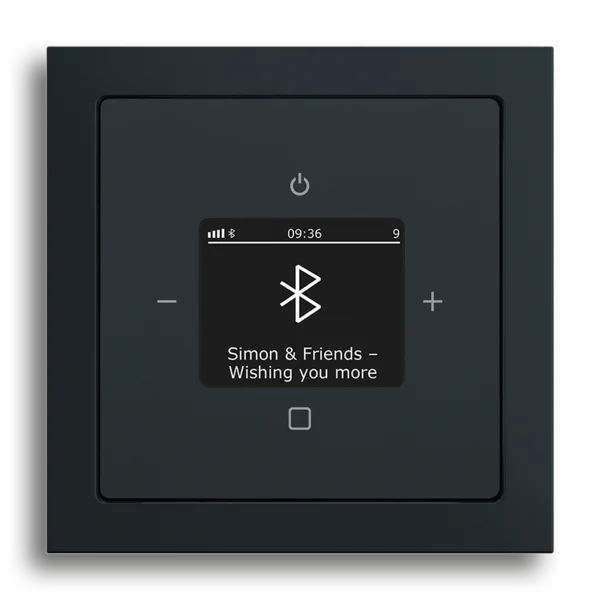 Audio controller - BTCONNECT DAB+ - BUSCH-JAEGER