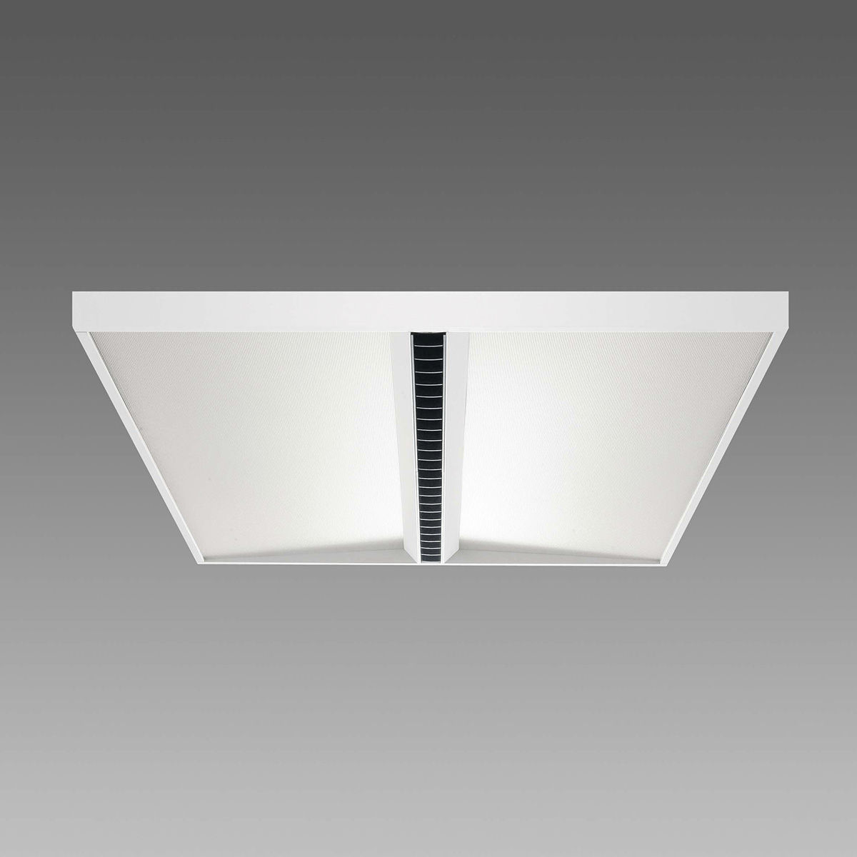 Surface-mounted light fixture - 716 IBIS - Disano Illuminazione - LED ...
