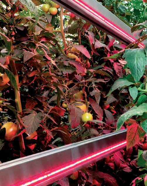 Eco-friendly light fixture - Disano Illuminazione - hanging / surface ...