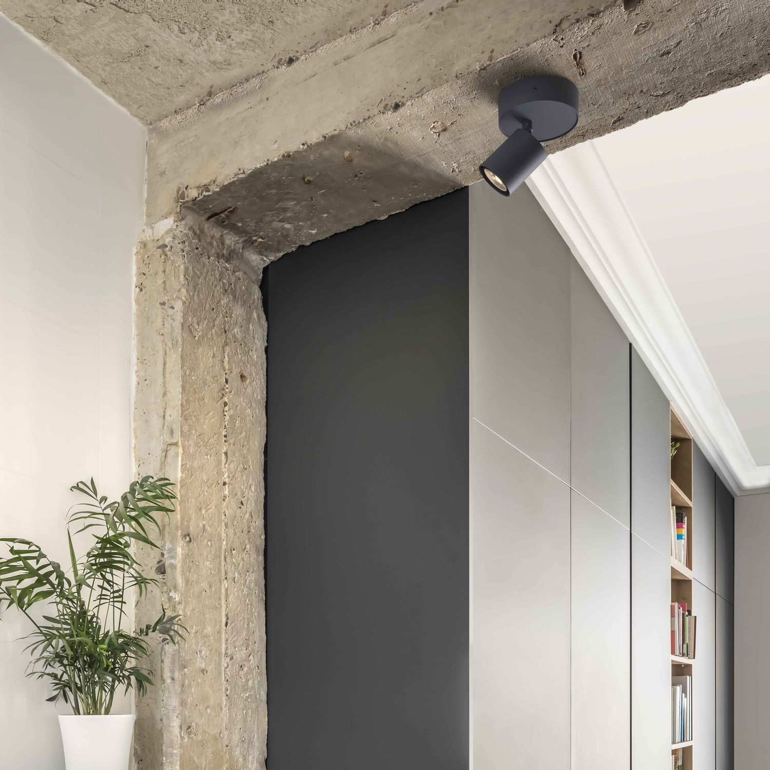 Surface-mounted spotlight - CENTRIQ IN FLEX - PROLICHT - LED / round / IP20