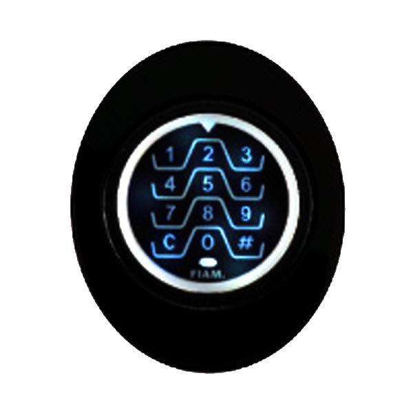 Electronic lock - OKEY - for entry door / 1 point