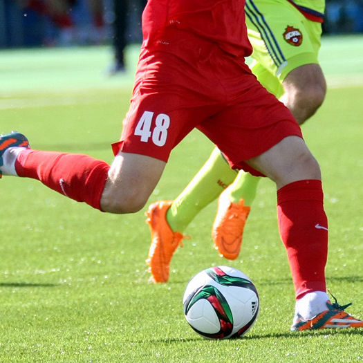 Synthetic grass - MAX S - LIMONTA SPORT - roll / for sports fields ...