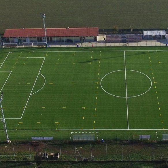 Synthetic grass - DUO SHAPE - LIMONTA SPORT - roll / for sports fields