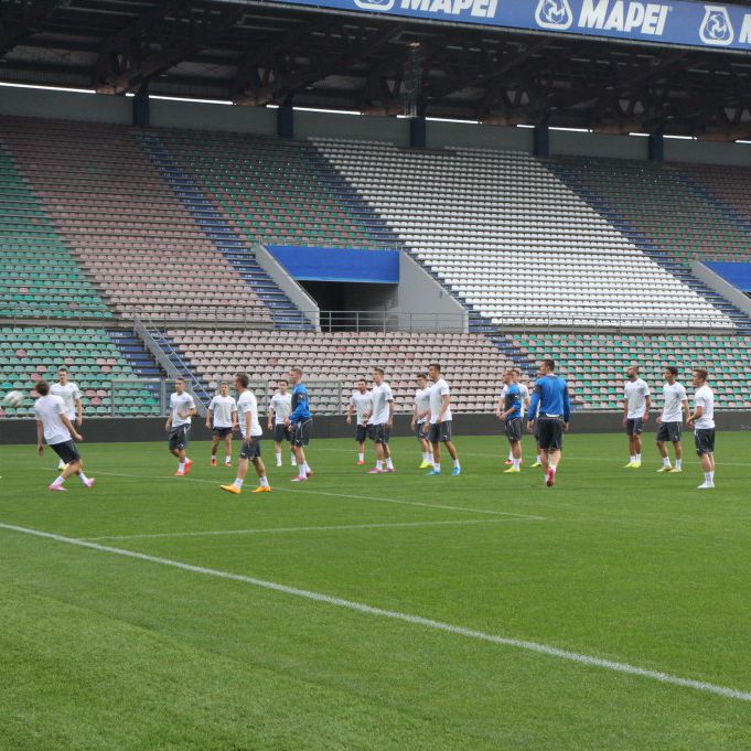 Synthetic grass - MIXTO - LIMONTA SPORT - hybrid / roll / for sports fields