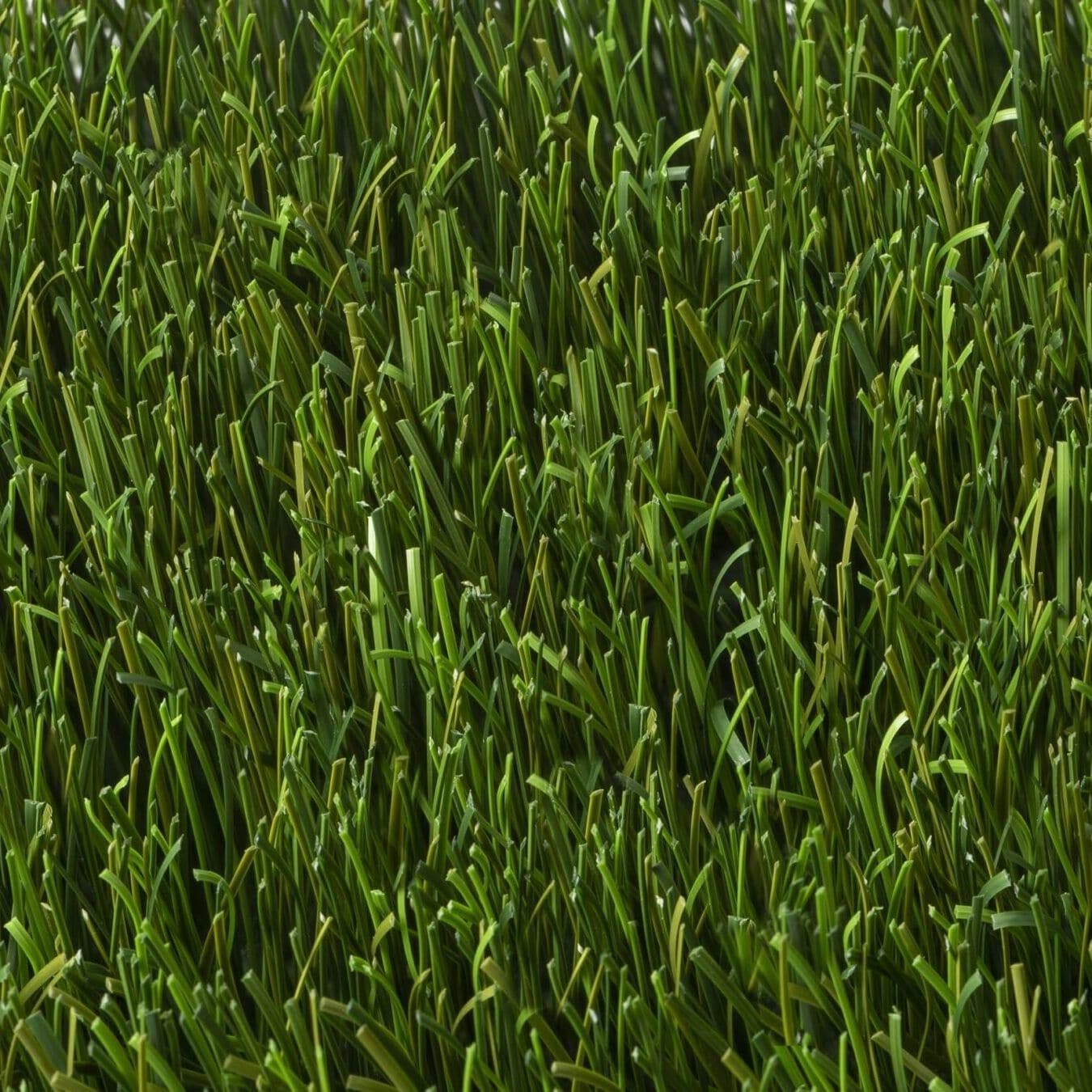 Synthetic grass - 4EVERSHAPE - LIMONTA SPORT - roll / for sports fields