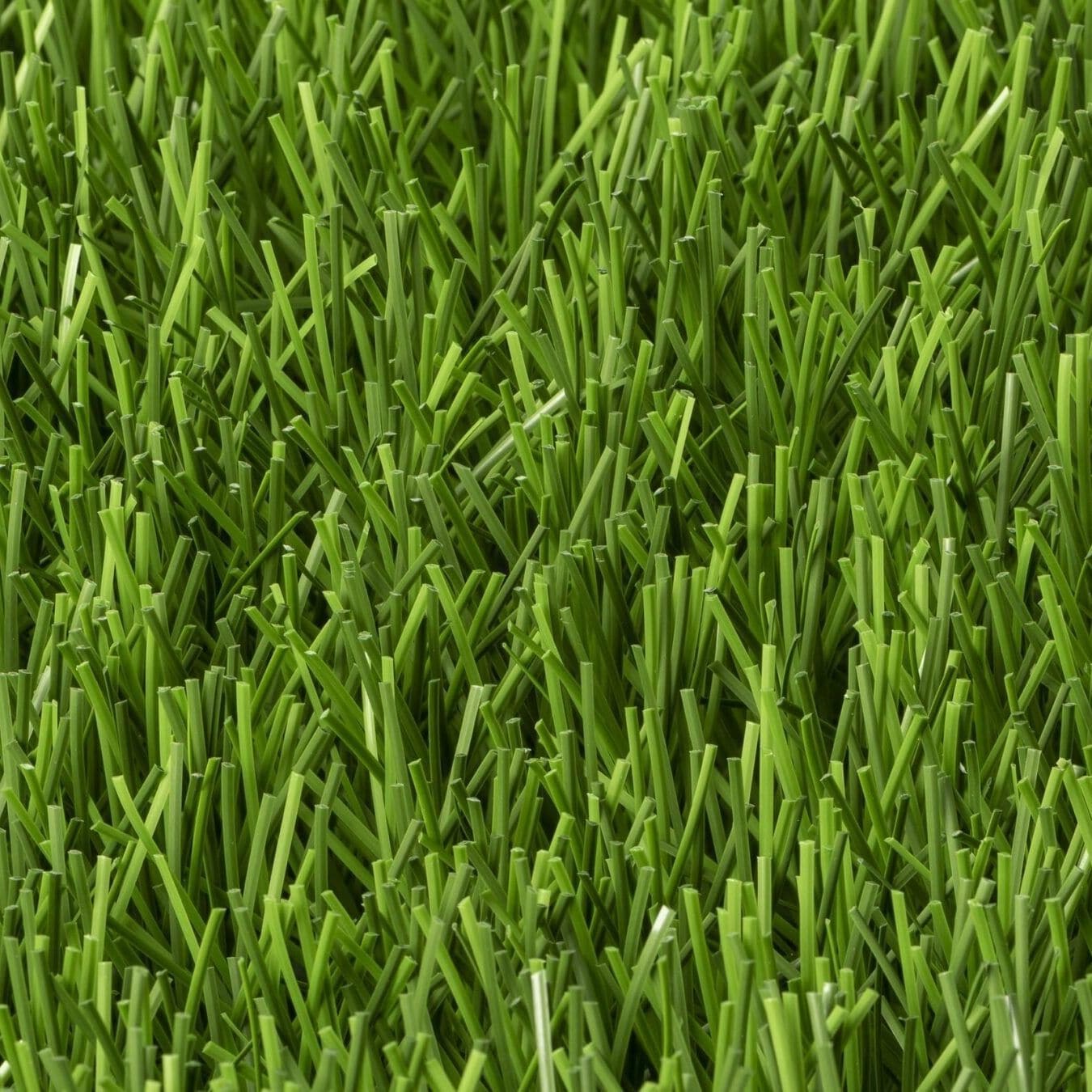 Artificial grass - DIAMOND2 - LIMONTA SPORT - roll / for sports fields