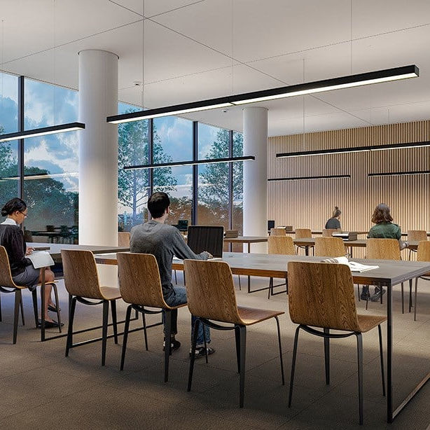 Hanging light fixture - C88-PR - GLAMOX - LED / linear / IP40