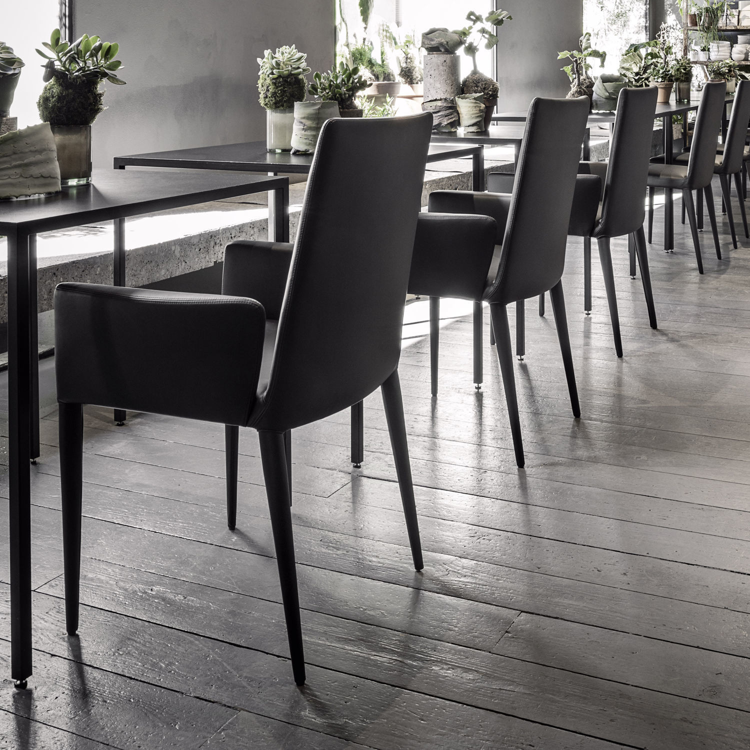 Contemporary chair - Bella H GM - Frag - fabric / leather / steel base