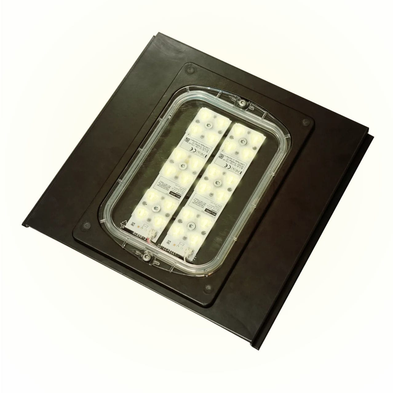 LED light module - 4F-1 - Eclatec