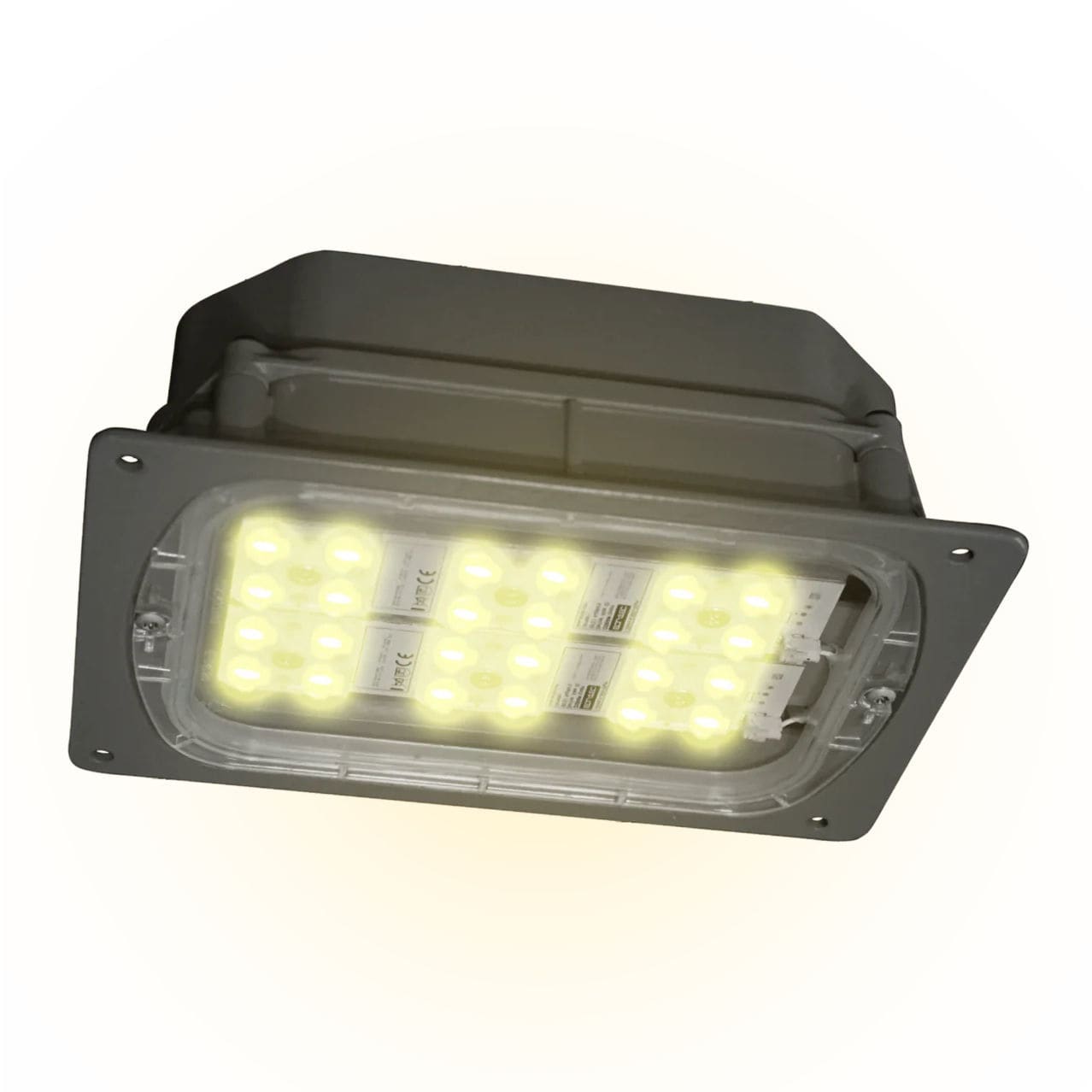 LED light module - Nixea 2 - Eclatec
