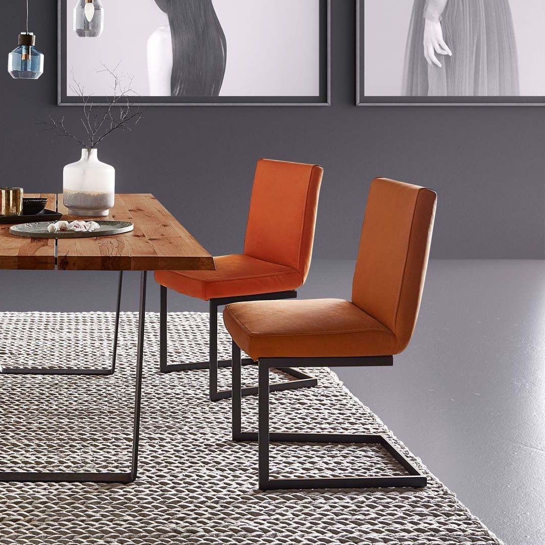 Esszimmerstuhle Modern Gunstig