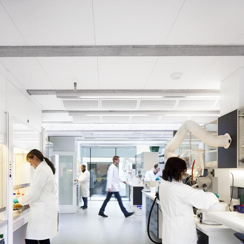 Glass wool suspended ceiling - HYGIENE PROTEC™ DS - Saint-Gobain ...