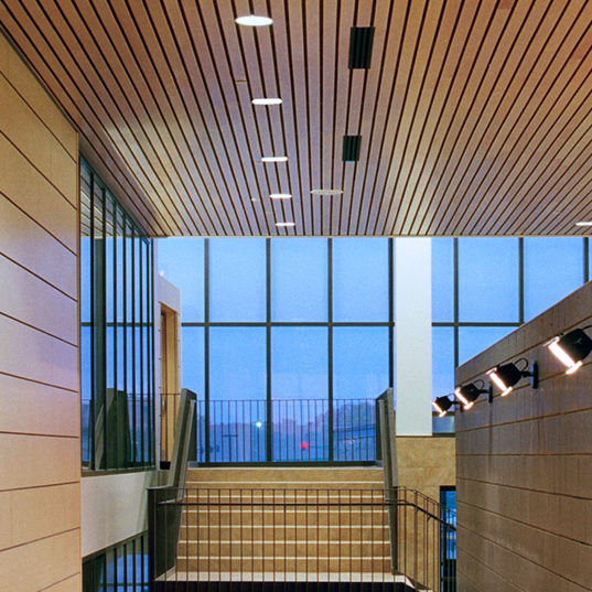 Metal suspended ceiling - BOX SERIES - Certain Teed - wood veneer ...