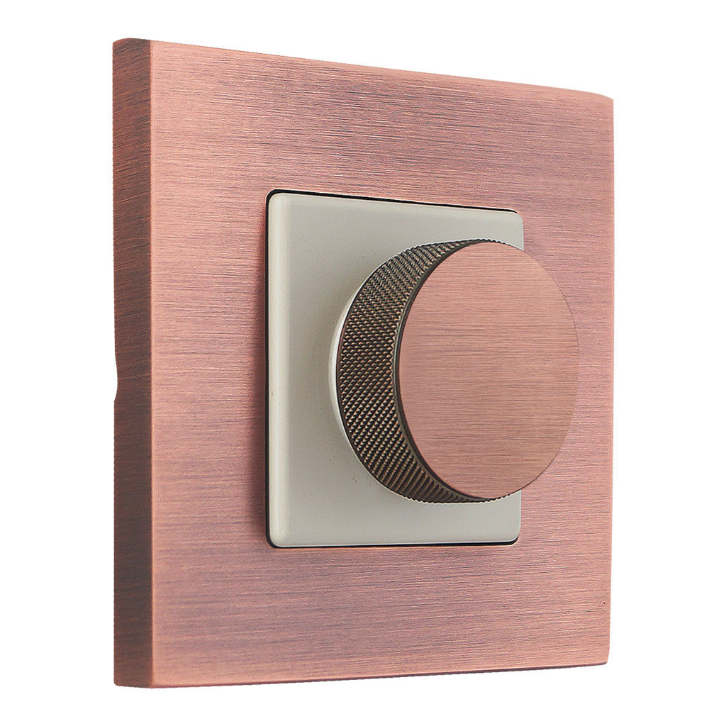 Light switch - FEDE Switch & Light - rotary / recessed / brushed brass