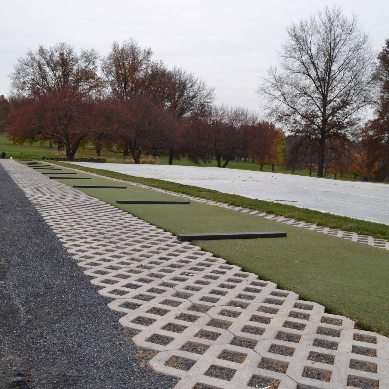 Concrete turfstone - Nitterhouse