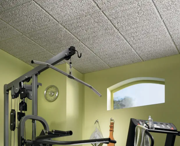Usg Alpine Acoustical Ceiling Panels | Shelly Lighting