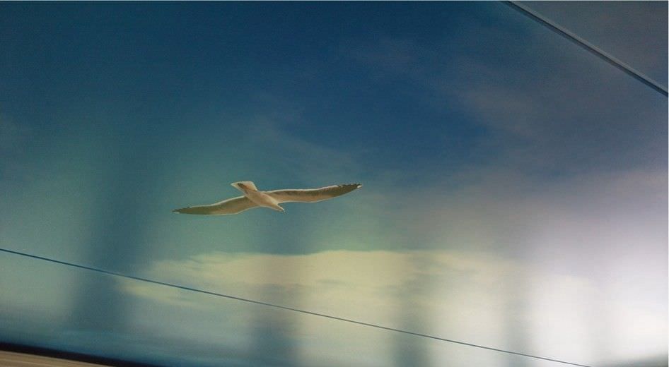 Canvas stretch ceiling - IMAGE PRINTING - VINYL - Stretch Ceilings ...