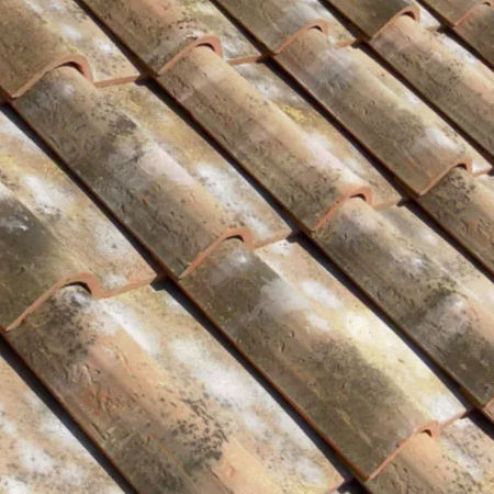 Large imbrex - VERNACCIA / RISERVA - SOLAVA - clay