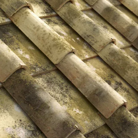 Large imbrex - MALVASIA - SOLAVA - clay