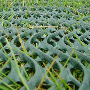 Three-dimensional geogrid - GRASSPROTECTA - TERRAM