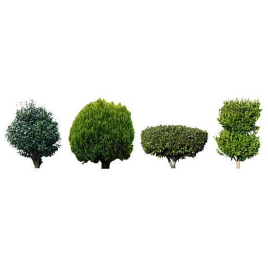 2D/3D object library - SHRUBS & TREES - DOSCH DESIGN