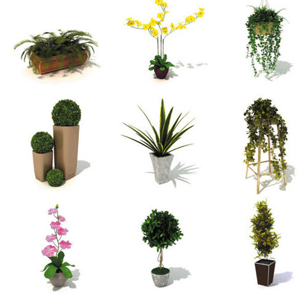 2D/3D object library - INDOOR PLANTS - DOSCH DESIGN