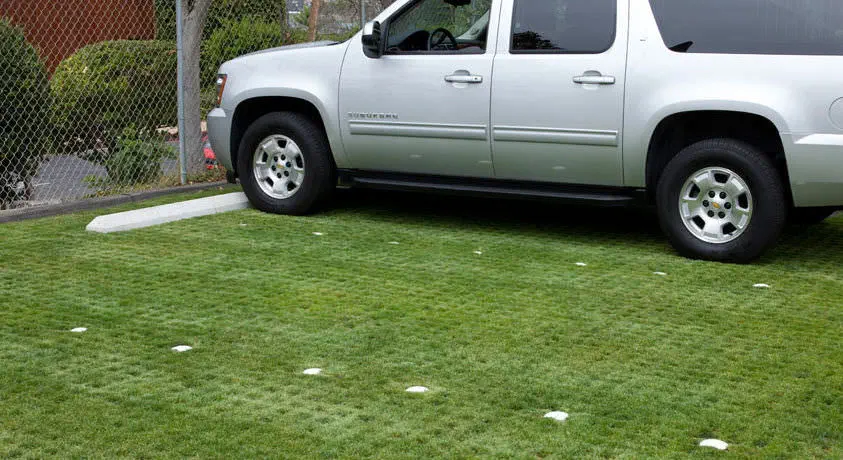 Grass Parking Lot Products