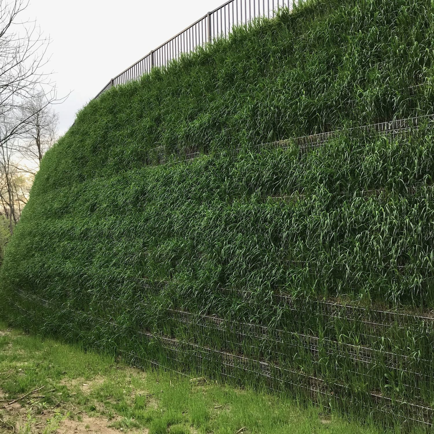 Retaining wall on reinforced soil - SIERRASCAPE® - Tensar International ...