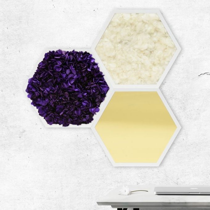 Preserved green wall - meamea - modular-panel / natural / indoor